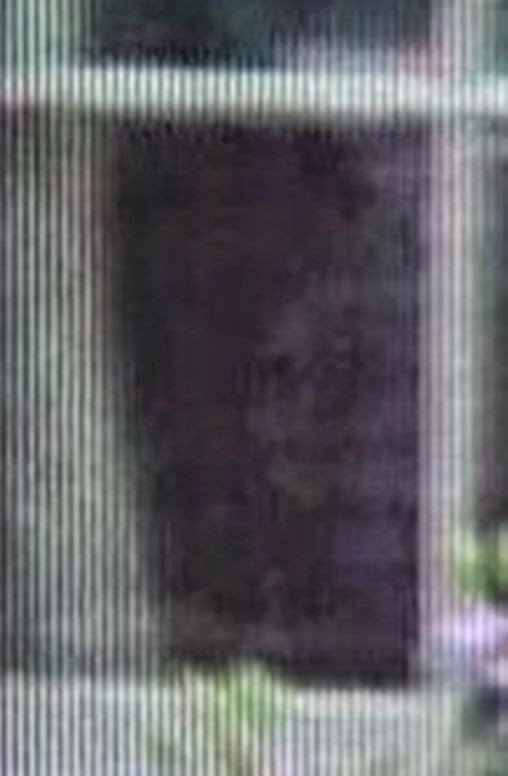 Anomalous Observational Phenomena: Museum of The Weird:GHOST GIRL SHOWS ...