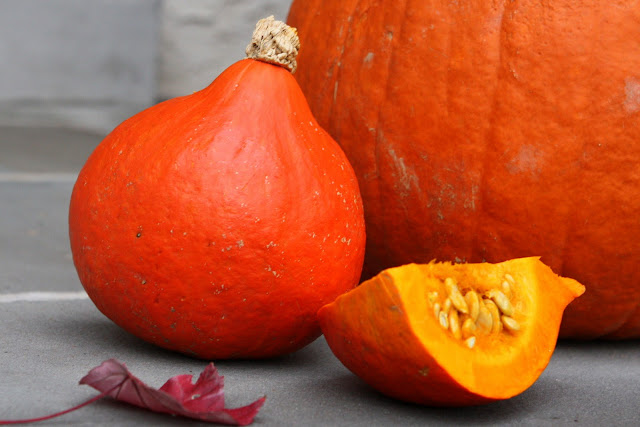 Fresh Local and Best: Pursuit of the Perfect Traditional Pumpkin Bread