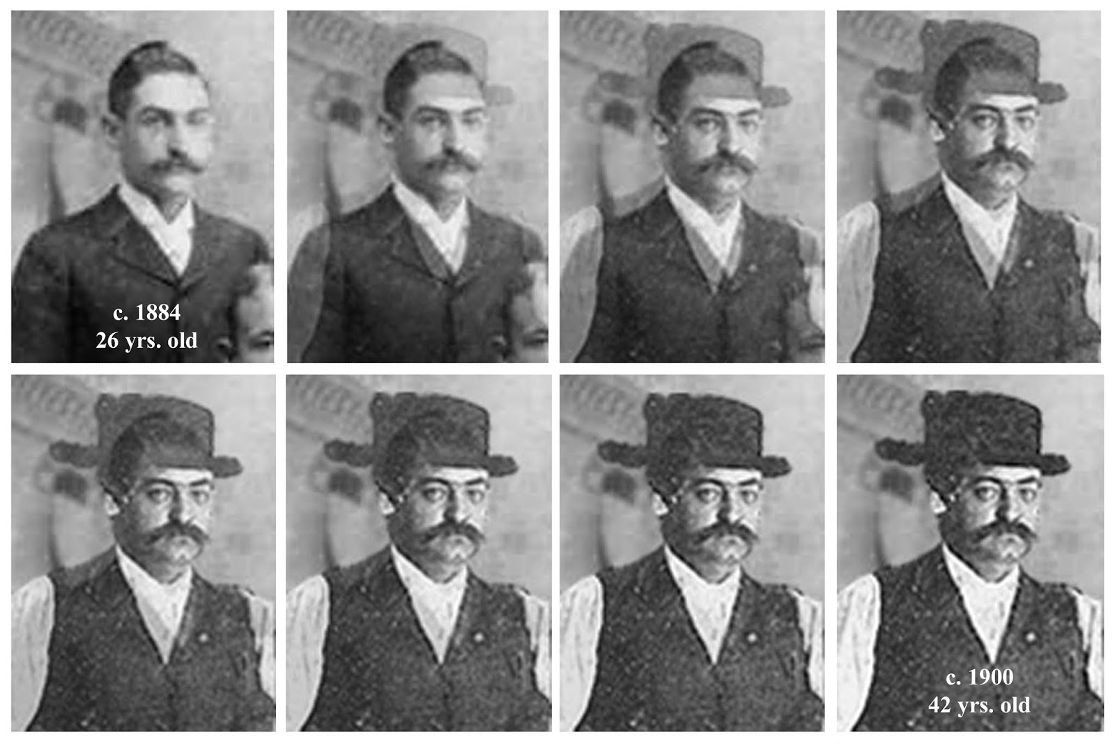 Climbing the Branches of My Family Tree