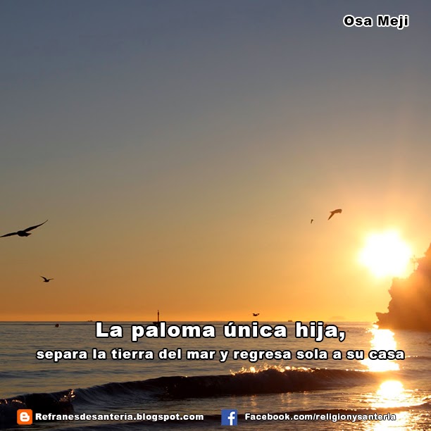 osa meji La paloma única hija, separa la tierra del mar y regresa sola ...