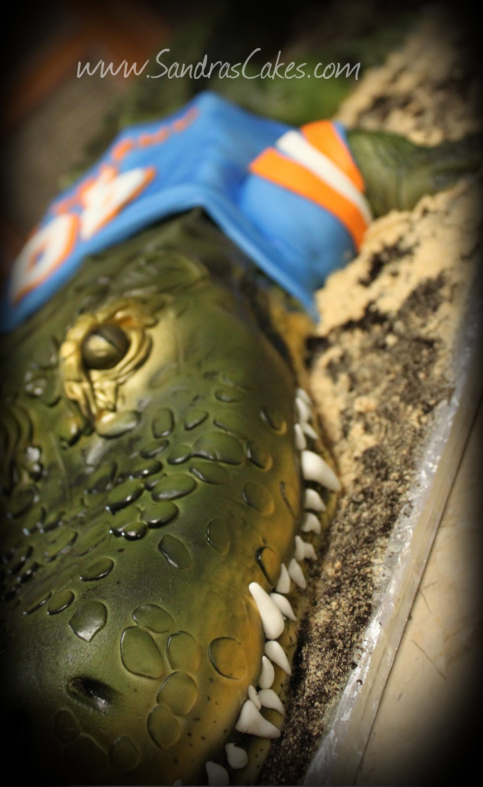 Florida Gators Cake