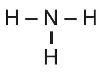 STRUKTUR DAN SIFAT FISIK SENYAWA AMINA