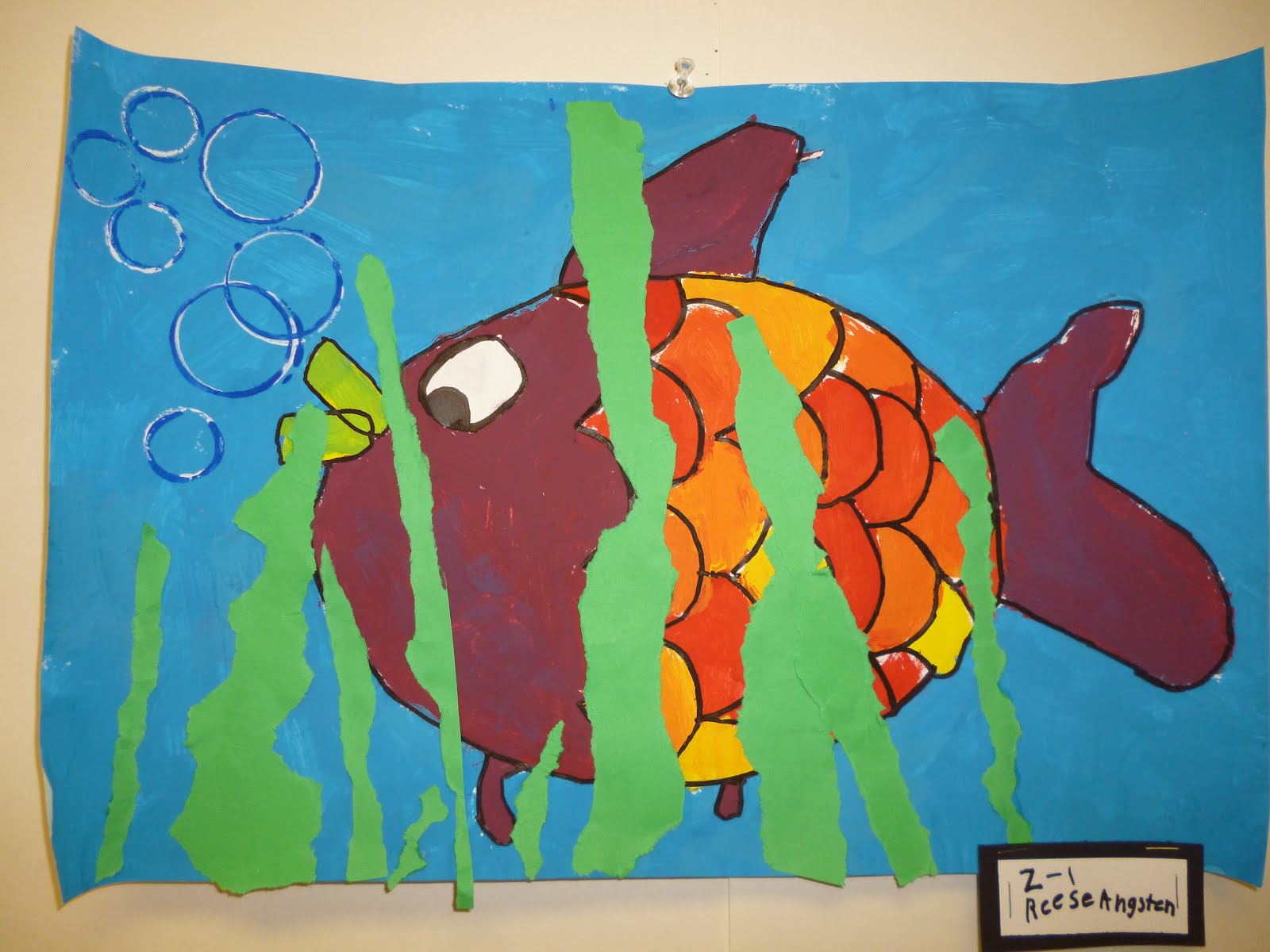 Secondary Colored Fish