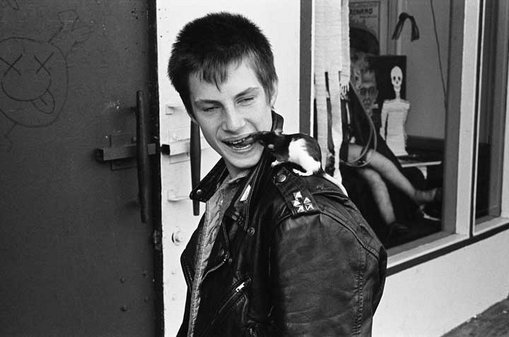 Michael Lavine - Alchetron, The Free Social Encyclopedia