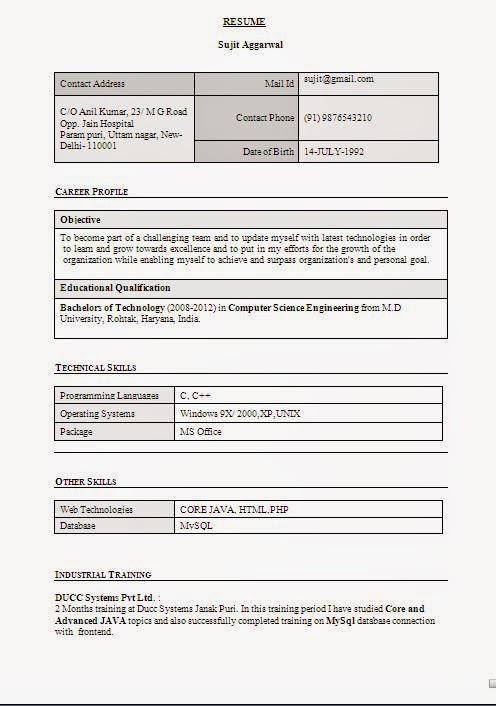 cv sample for studentc sss