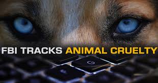 The Horrible Fate of Turntle the Turtle - A Warning - simpple020