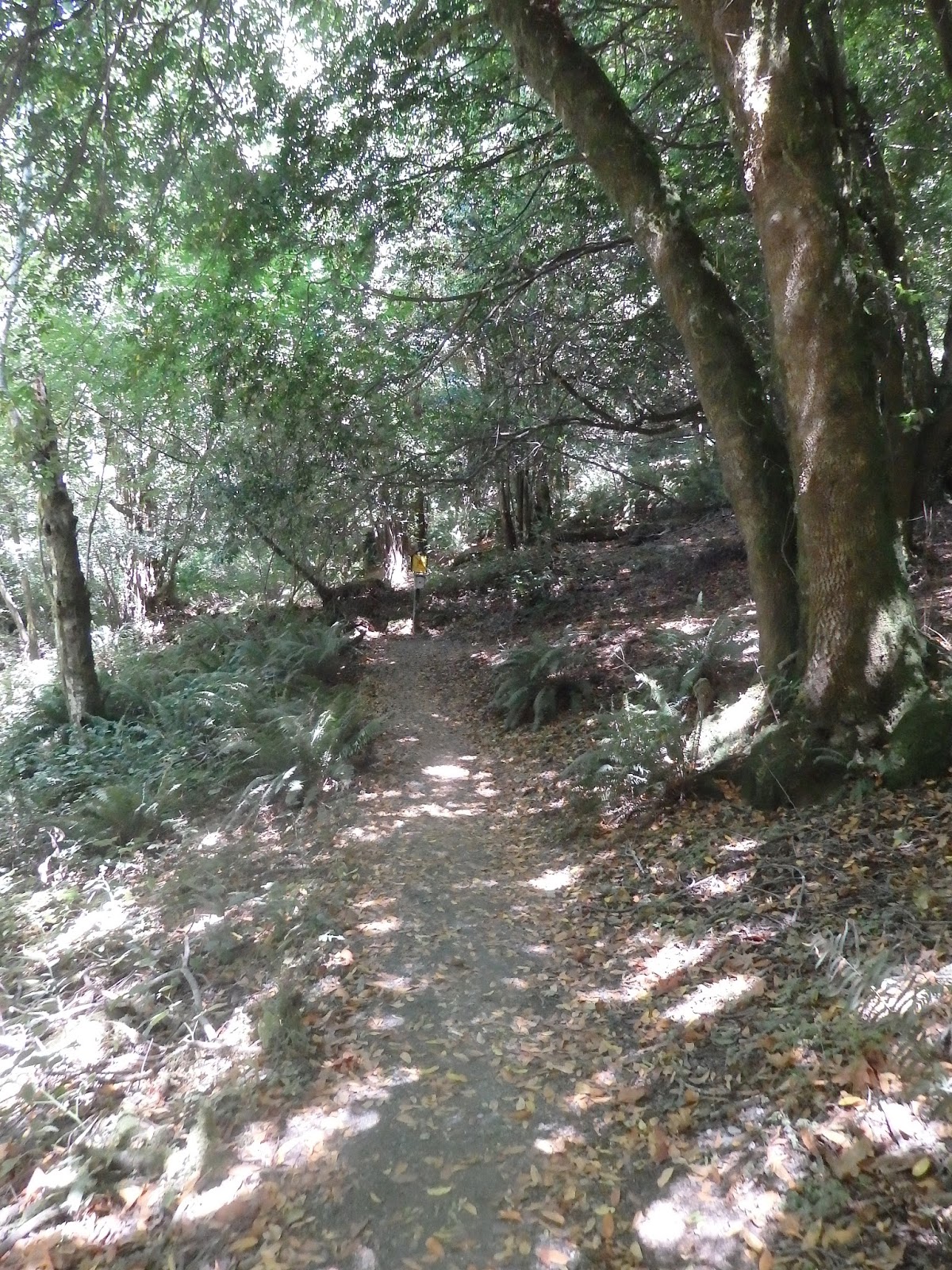 2 On the Road: Myrtle Tree Trail