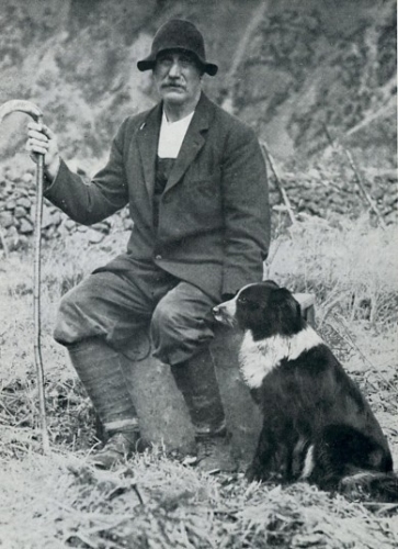 Famous Dogs in History: Sheila: Only Non-Military Dog to Receive Dickin ...