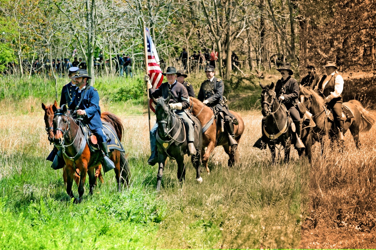 Heroes, Heroines, and History: The U.S. Camel Corps
