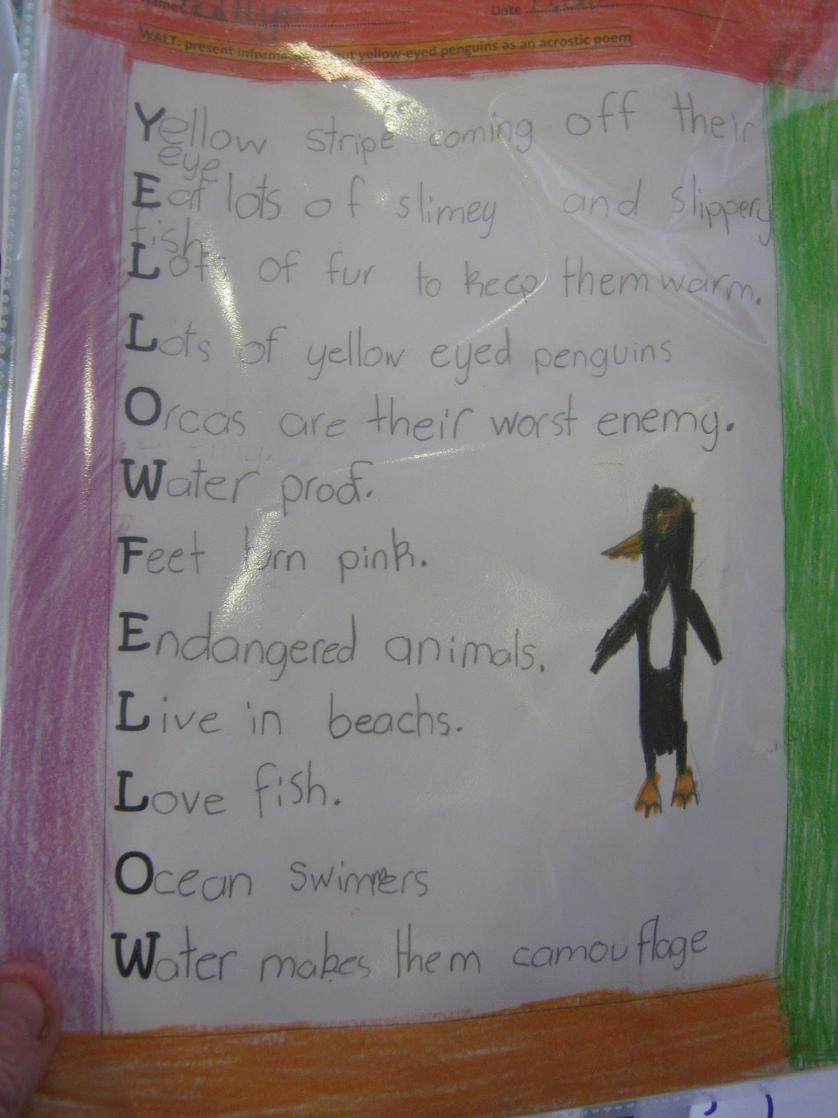 News From Room Nineteen: Yellow Fellow acrostic poems - we hope you ...