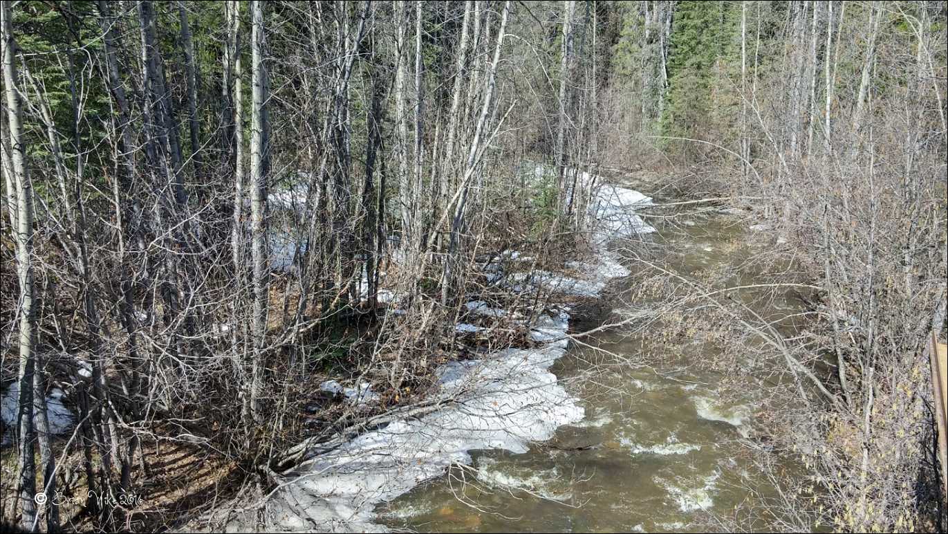 Northern Interior British Columbia: Findlay Creek And Canyon Topley ...