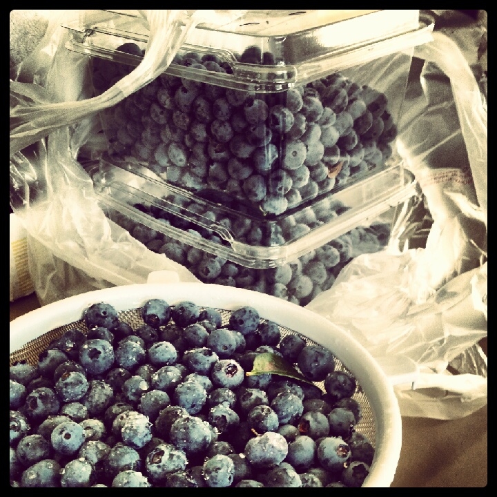 Autumn's Copper Pot: Low-Sugar Blueberry Jam