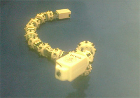 Selvacorner: snake robots