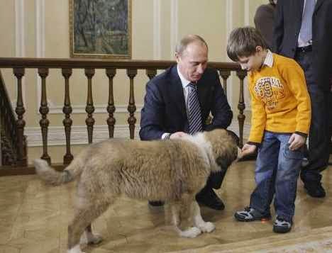Vladimir Putin: Russia’s Top Dog Is A Party Animal