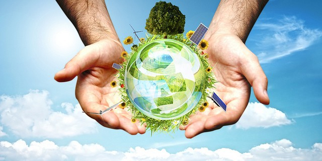 ¿Qué es ecología y qué es ecologismo?