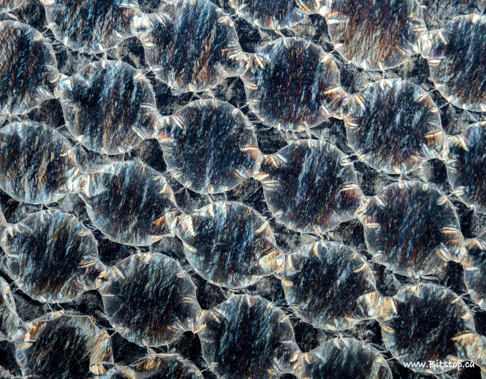 Bitstop: Cross Polarization