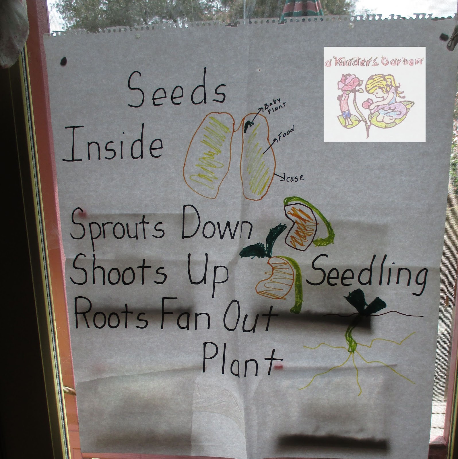 A Kinders Garten Vintage Homeschool: Oh, Say We Can Seed, You Can Too ...