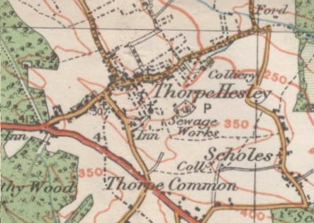 Public Transport Experience: Rejoice for Rotherham [2]