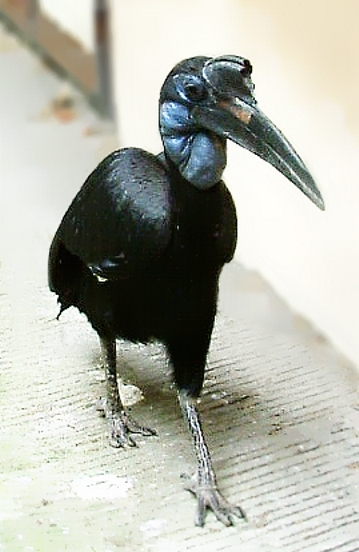 Natureza, Perfeição sem tamanho...