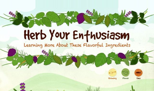 Herb Your Enthusiasm #infographic - Visualistan