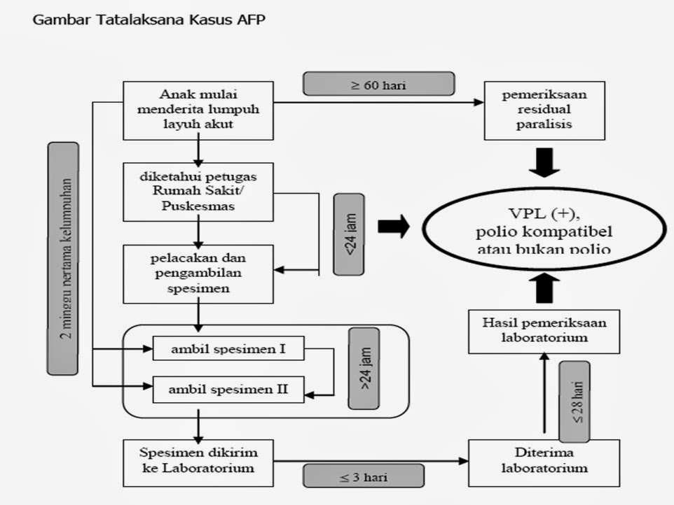 Surveilans Epidemiologi FKM UNSRI: SURVEILANS EPIDEMIOLOGI POLIO