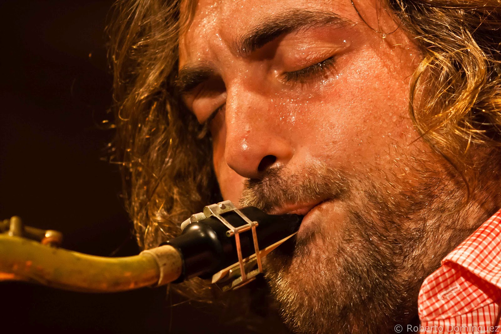 Noah Preminger - Alchetron, The Free Social Encyclopedia