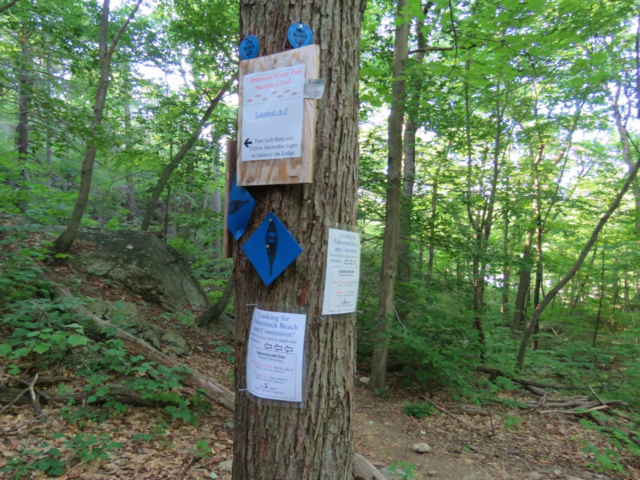 Gone Hikin': Fahnestock State Park, NY - Canopus Lake