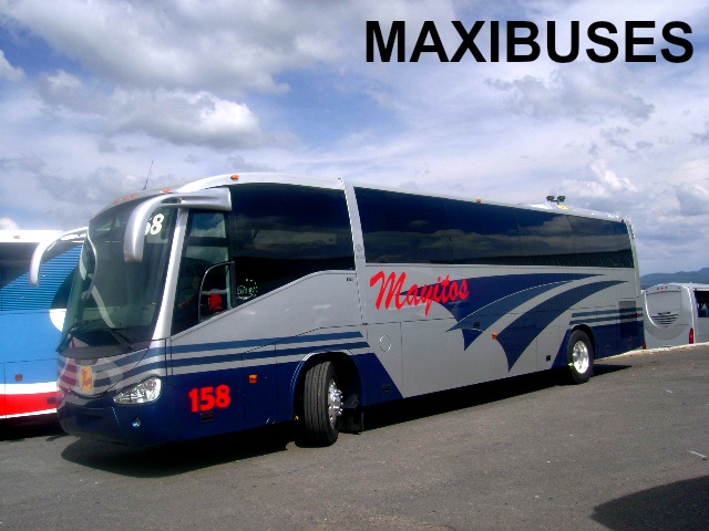 MAXIBUSES: AUTOBUSES LOS MAYITOS