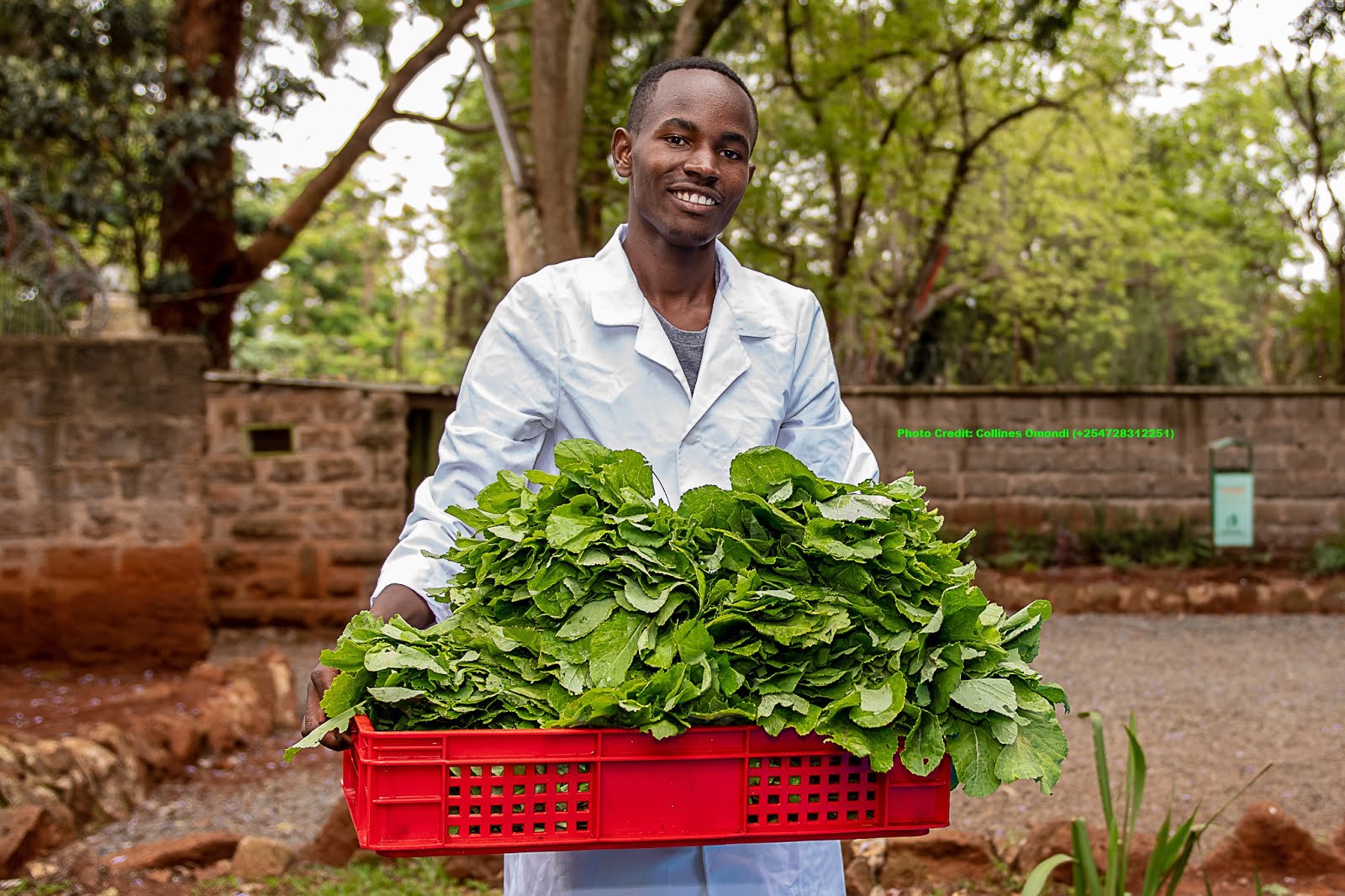 PAEPARD - FARA: New Release: Enhancement of Employment and Income ...