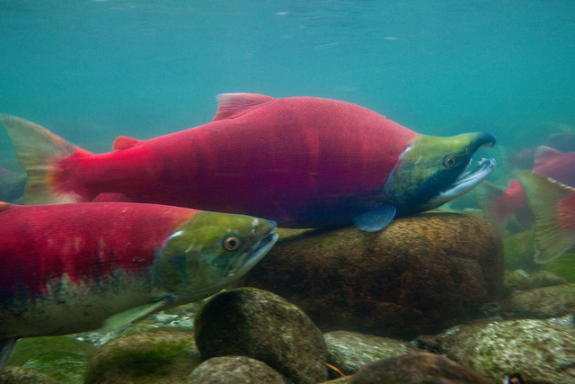 Mighty water week: Day#2 - Science in the City