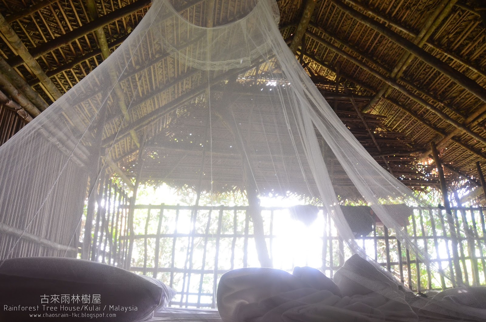 柔南避暑秘境 | 古來普萊山瀑布 | Rainforest Treehouse | Gunung Pulai Waterfall, Kulai