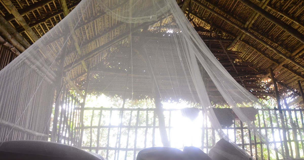 柔南避暑秘境 | 古來普萊山瀑布 | Rainforest Treehouse | Gunung Pulai Waterfall, Kulai