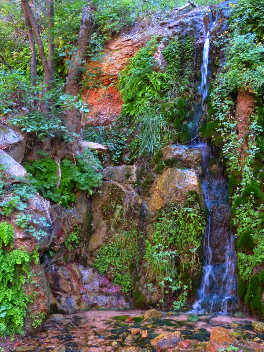 Geotripper: Want a Wilderness Experience in Zion Canyon? Go Where the ...