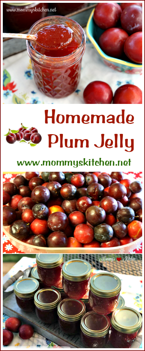 Homemade Plum Jelly — Mommy's Kitchen