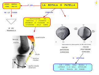 MAPPER: febbraio 2012