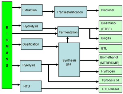 Biomass Conversion into Energy | Renewable Energy