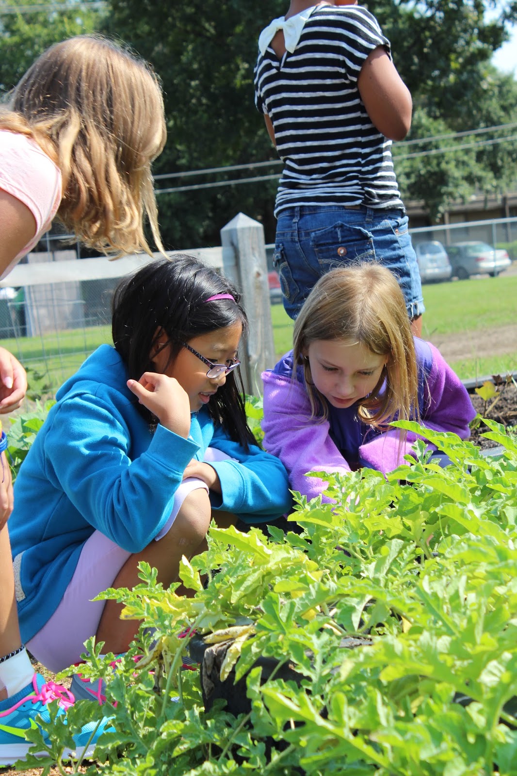 Ms. Choy's Classroom Blog