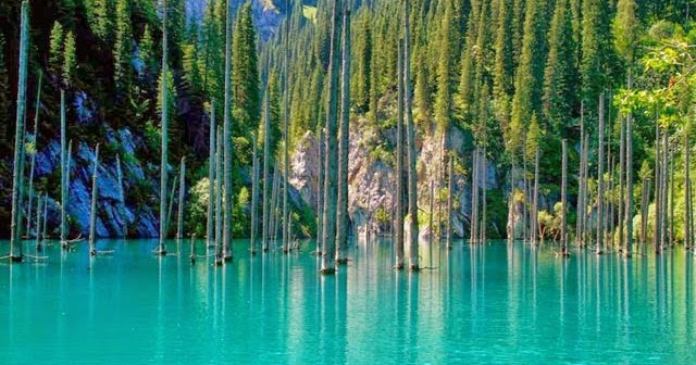 Tormentas y Ciudades: Bosque sumergido en el lago Kaindy