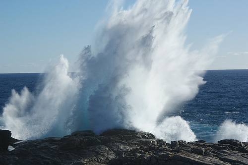 French Vocabulary Illustrated: embrun