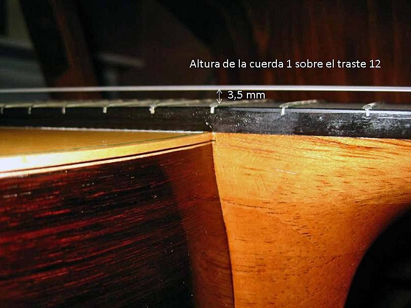 Cithara hispanica : Cuerdas