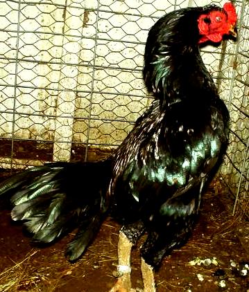 NOMBRE DE ALGUNAS LINEAS DE ASILES EN LA ACTUALIDAD: | Ver Fotos de ...