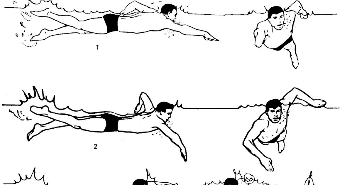 swimmingpedia: TEHNICA CORECTA DE INOT 01