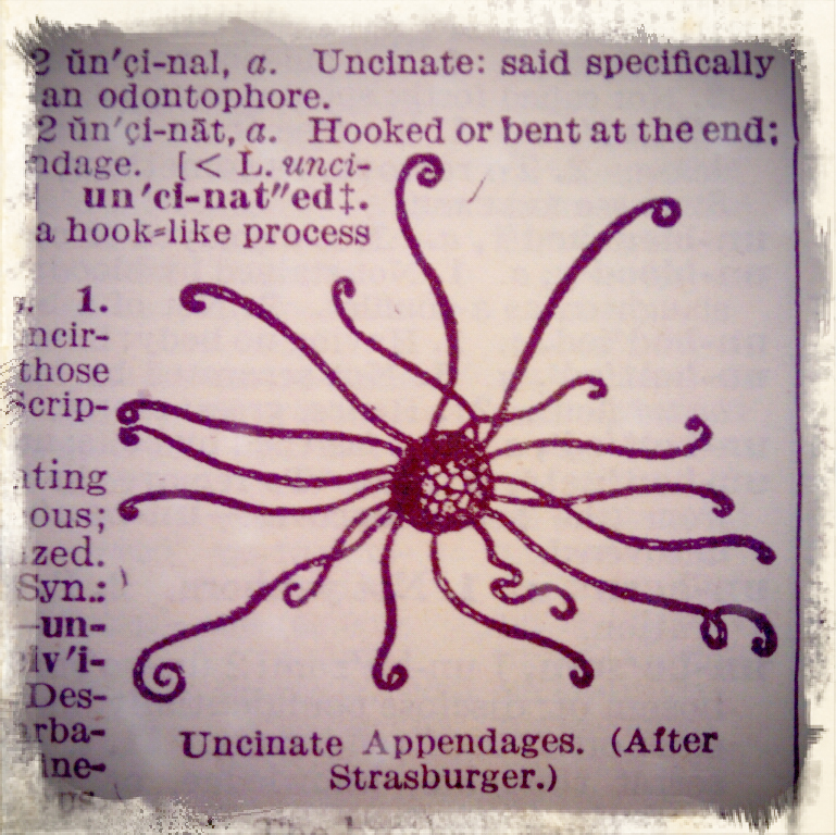 Molokai Girl: Unknown Unaus Ululate Unbelievably