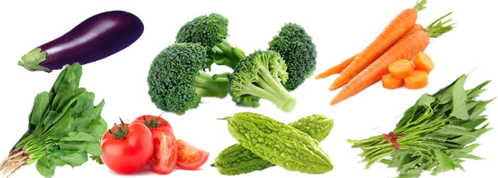 Makanan 4 Sehat 5 Sempurna dan Manfaatnya Bagi Kesehatan Tubuh ...