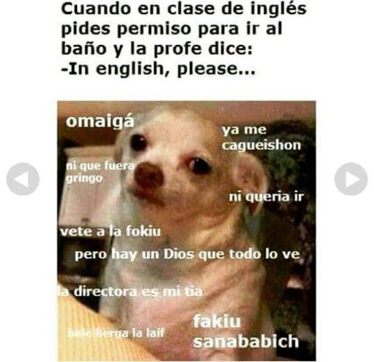 Memes,Imagenes con frases graciosas, Chistosas, Divertidas - Imágenes ...