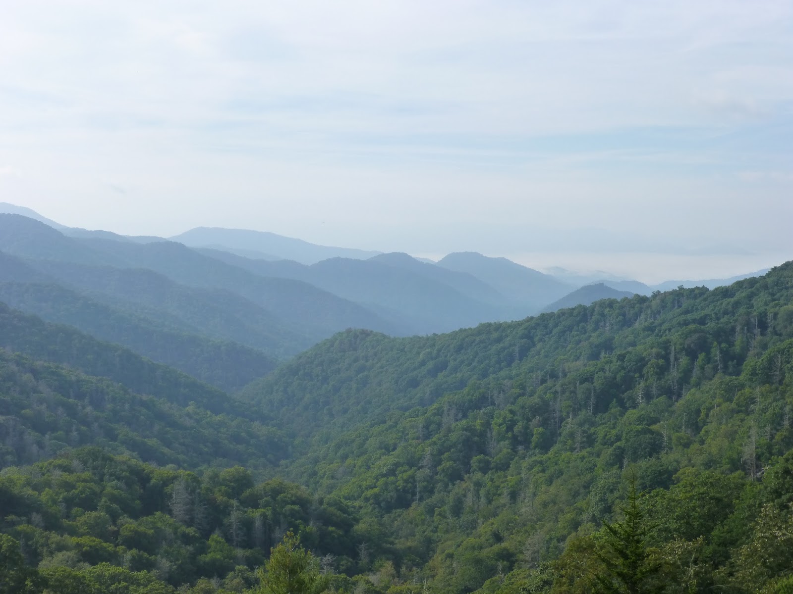 Dominick's National Parks Road Trip