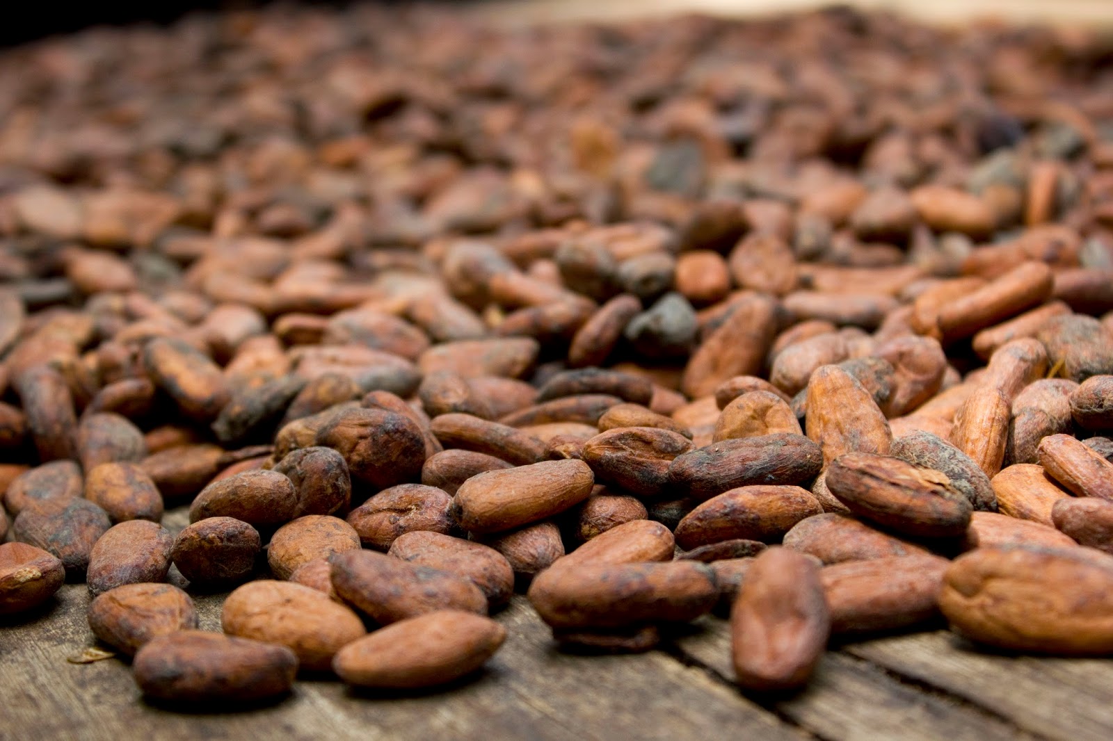 Confessions and Dreams...