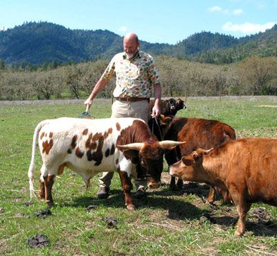 Effetto Mandela - Evidenze: La "MINI-MUCCA"!!?!