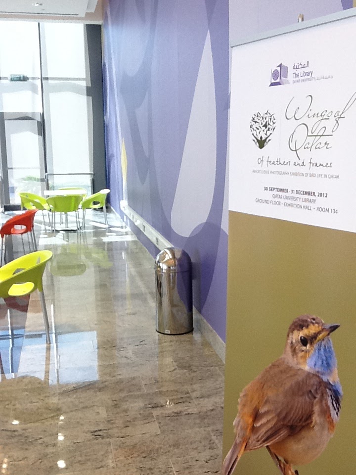 Qatar University Law Librarian Blog: Opening Ceremony, new QU Library