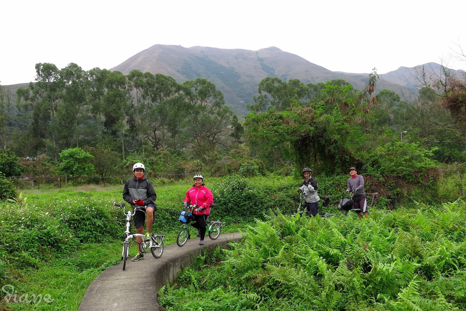 Riding a folding bike around Manila: Mini Bike Tour of Hong Kong 3 (Sha ...